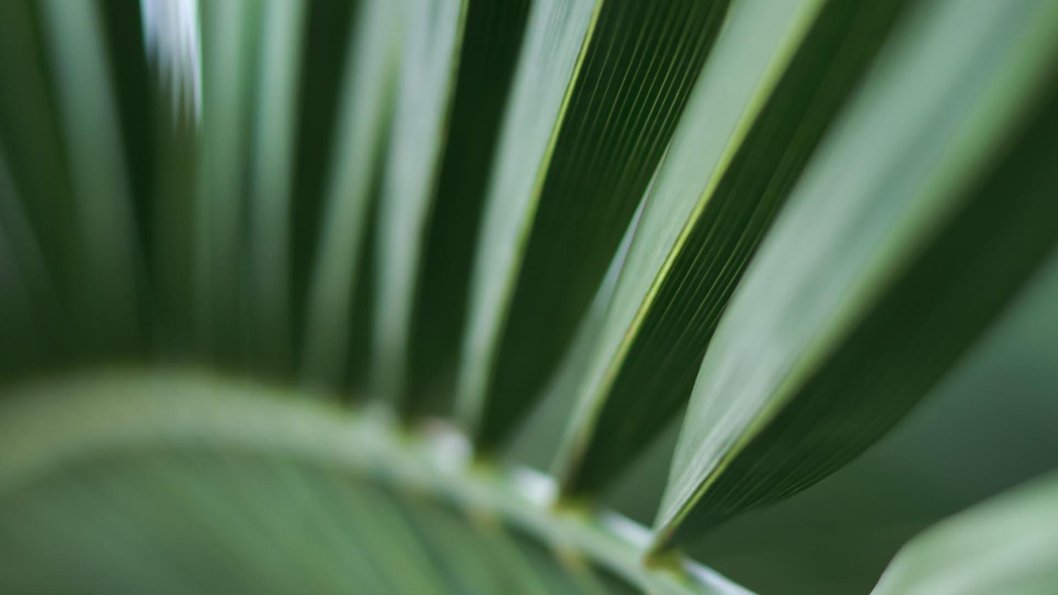 Estate & Trust Tax Preparation Services | Form 1041