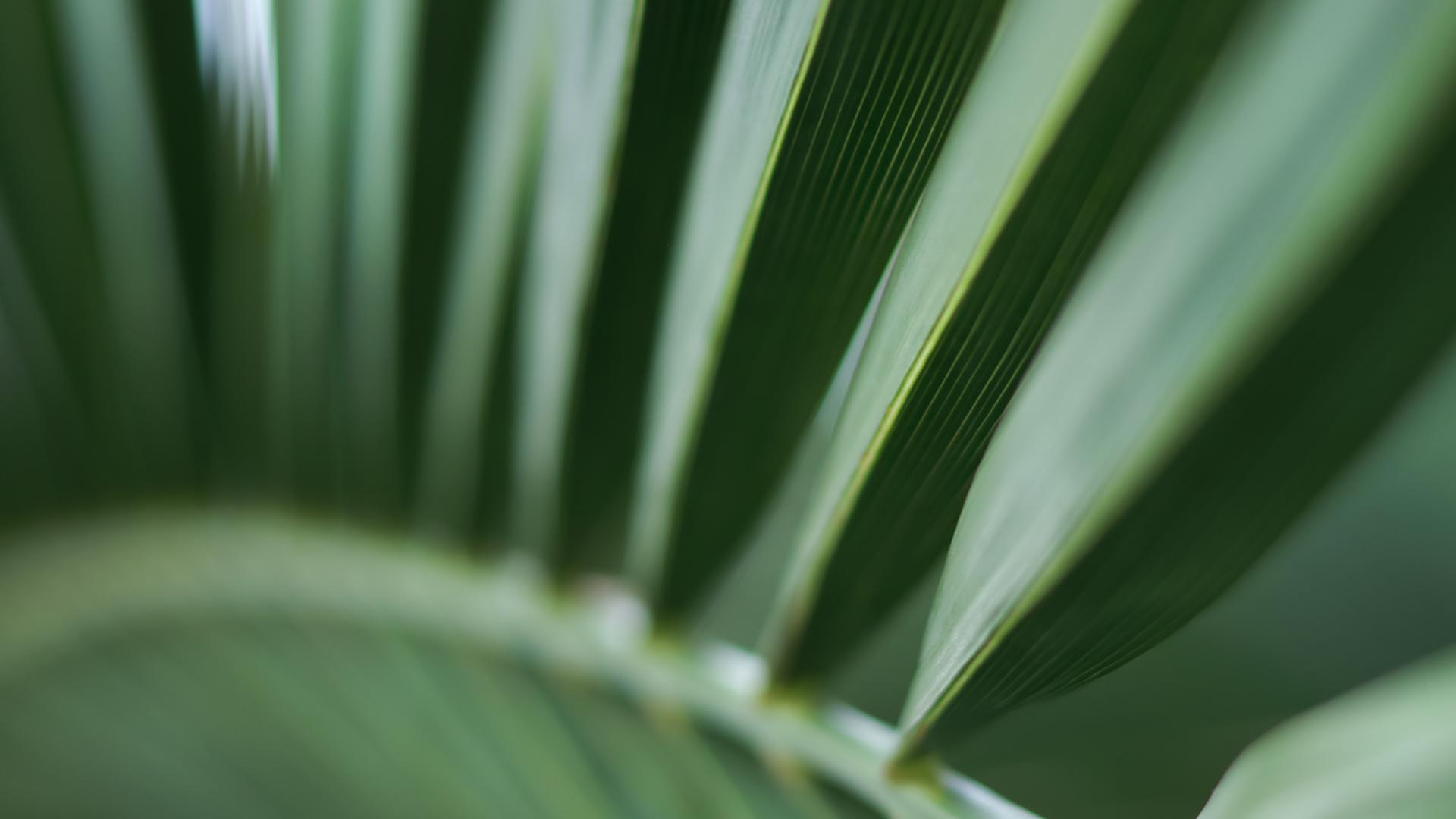 Estate & Trust Tax Preparation Services | Form 1041